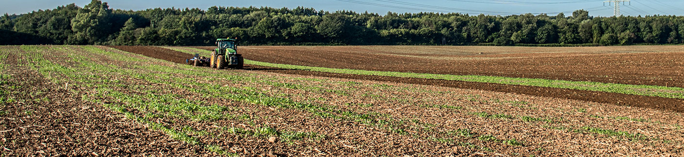 Tillage guide: tips & tricks