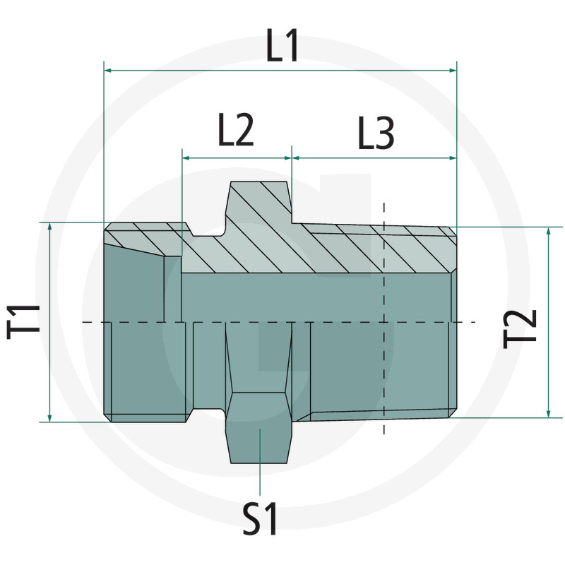 BSPT (conical thread) buy online